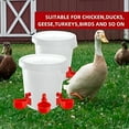 HUART Chicken Waterer, 12-Pack Plastic Water Cups with 3/8 Inch ...