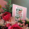 3drose, Fox Glove Majestic Mixture Mix Colors Roudabushs Seed Store, 6 ...