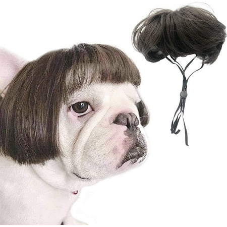 Pet wig, headgear, suitable for large, medium and small dogs (straight ...