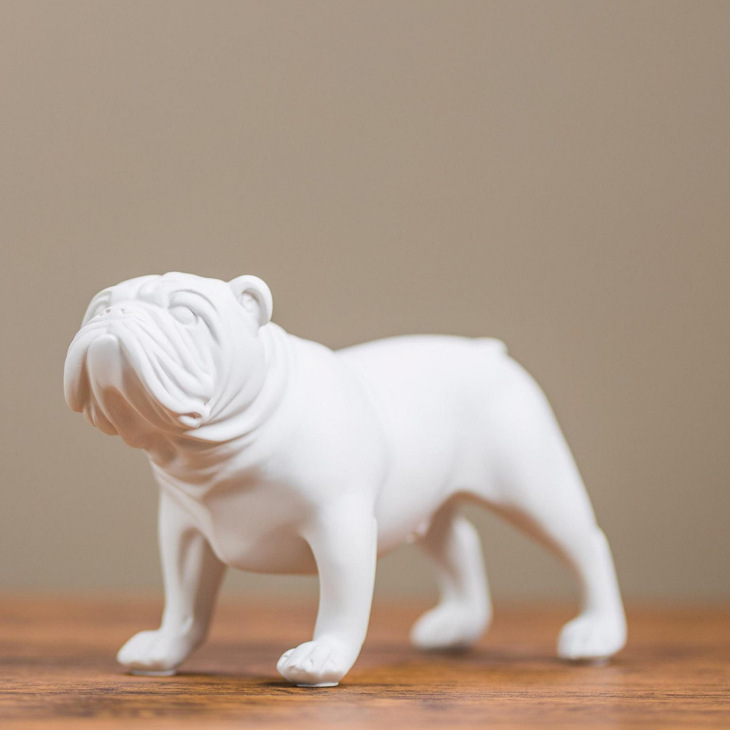 Click here for Canadian Furniture Importers Premium White Bulldog... prices