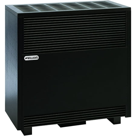 Williams Propane Enclosed Front Room Console Heater - 2001621A ...