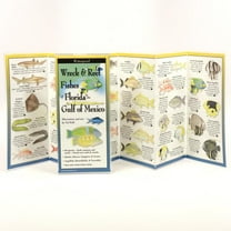 Beachcomber's Guide to Gulf Coast Marine Life : Texas, Louisiana ...