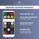 Prominence Home 2-Pack Matte Black Battery-Operated LED Wall Sconce ...