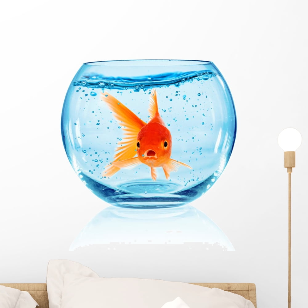 Goldfish Aquarium Wall Decal by Wallmonkeys Peel and Stick Graphic (18 ...