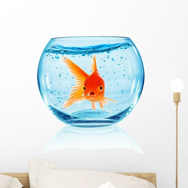 Goldfish Aquarium Wall Decal by Wallmonkeys Peel and Stick Graphic (18 ...