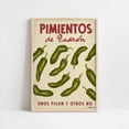 ARTVORA Padrón Peppers Kitchen Art | Vintage Spanish Illustration for ...