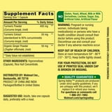 Spring Valley Turmeric Curcumin with Ginger Powder Dietary Supplement ...