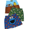 Sesame Street Cookie Monster Men's Male Boxer Shorts MF21598BX ...