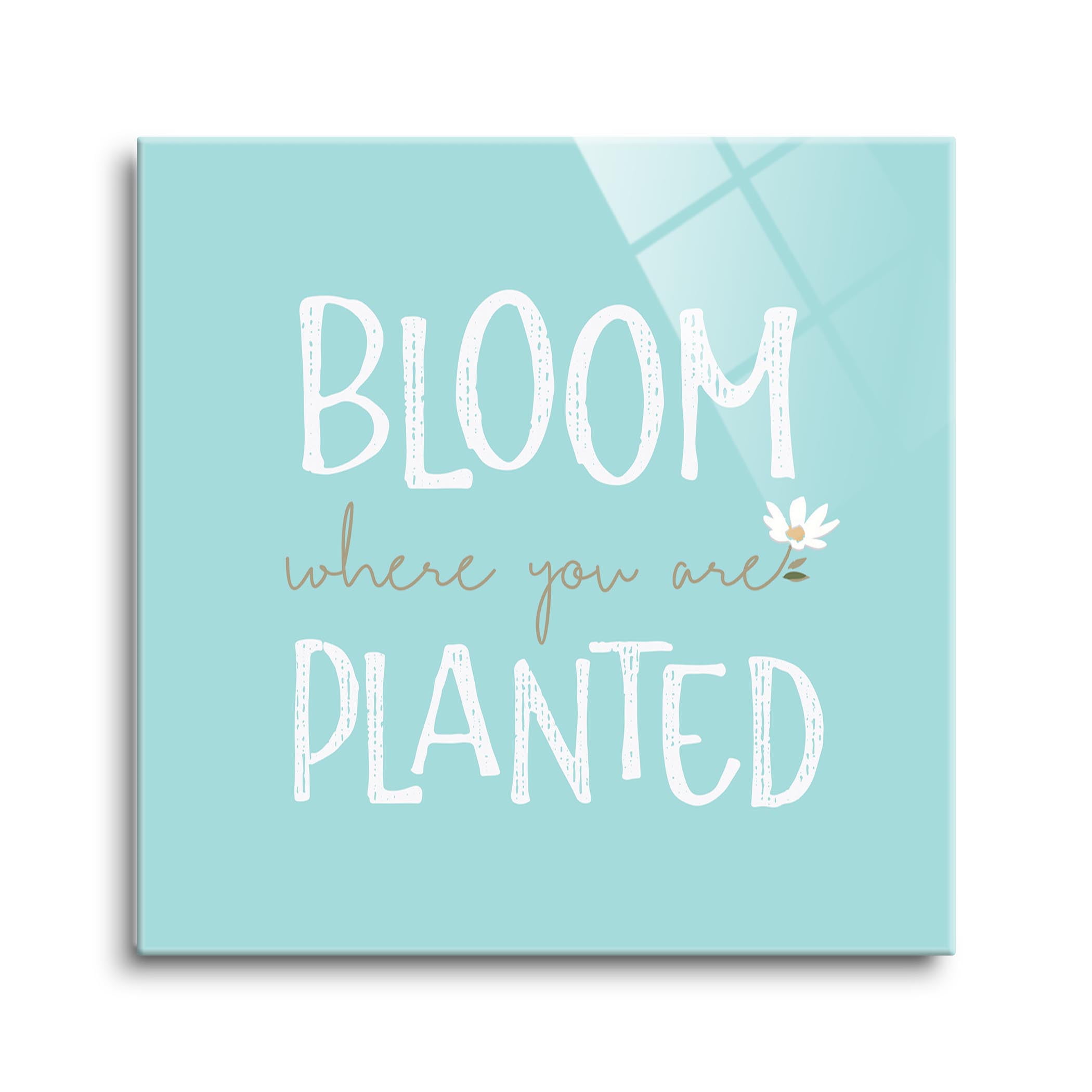 Bloom Where Planted Powder Blue Floral 24 x 24 Glass Wall Hanging Sign ...