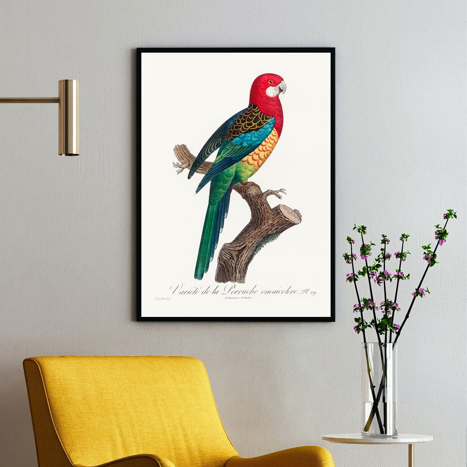 The Eastern Rosella, Platycercus Eximius - 1801—1805 | Francois ...