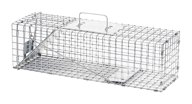 Havahart 1078 24 In., X 7 In., X 7 In., Pro Cage Animal Hunting Cage ...