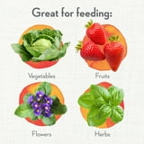 Whitney Farms Organic & Natural All Purpose Plant Fertilizer, 4 lbs ...