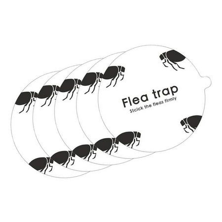 relayinert Pack of 5 Flea Trap Insect Stickers Household Accessories ...