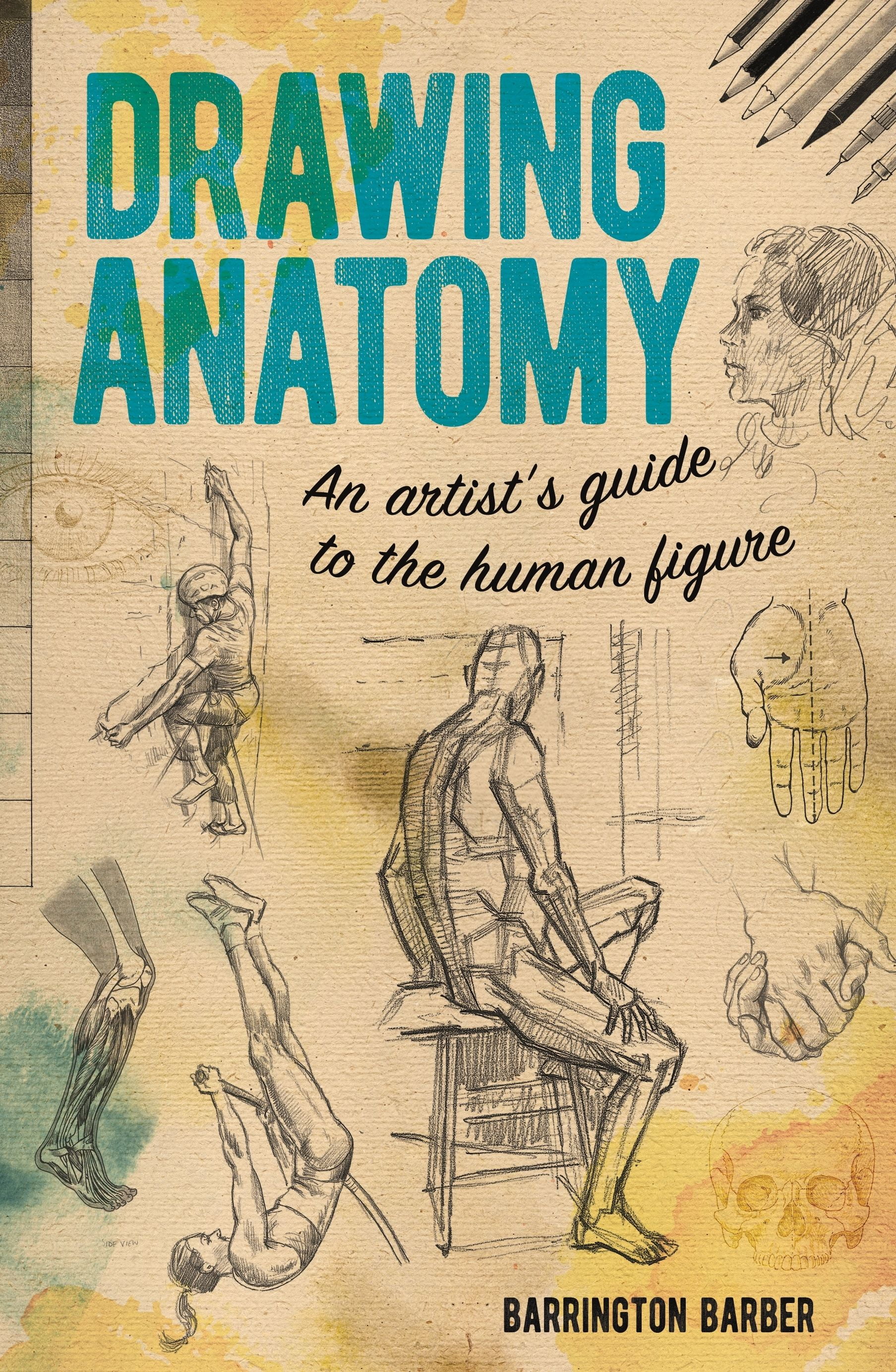 Drawing Anatomy An Artist s Guide To The Human Figure Paperback Drawing Anatomy An Artist s Guide To The Human Figure Paperback