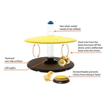 Cozy Chickens Premium Chick Brooder Habitat PLUS Includes Water Tube ...