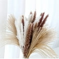 60 Pcs Dried Grass Decor, 17.5" Grass with 3 Colors,Boho Decor Fluffy ...