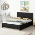 Euroco Queen Platform Bed With 2 Drawers And Trundle Solid Metal Frame