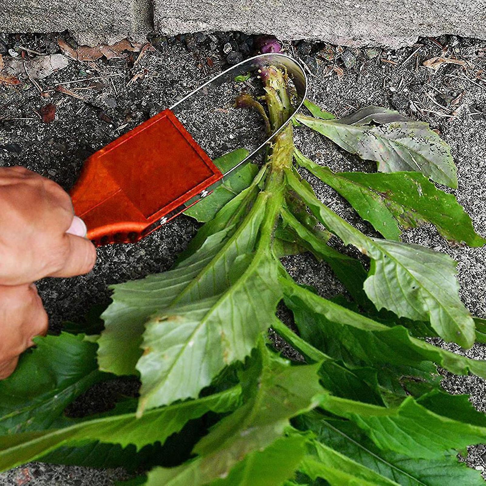 Hand Loop Weeder Manual Cut Weed Roots Metal Sharp Blade Weed Remover ...