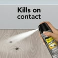 Raid Max Indoor & Outdoor Spider & Scorpion Killer Bug Spray, 12 oz ...
