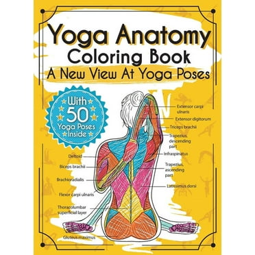 50 Poses and Meditations: The Yoga Deck - Other - Walmart.com