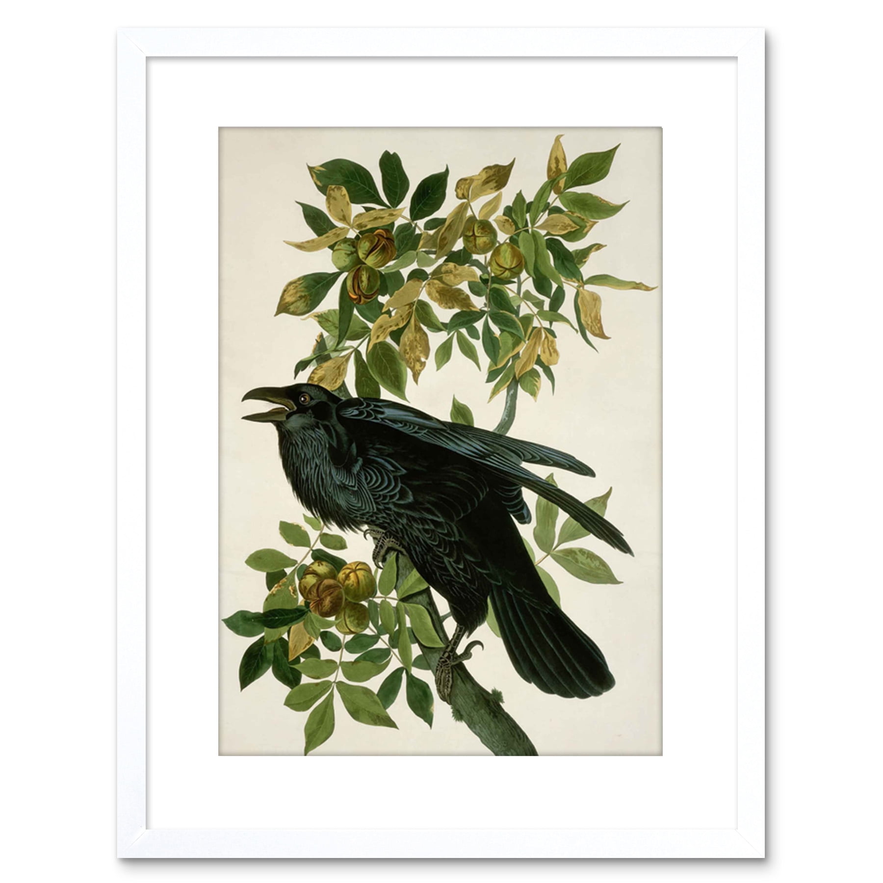 Painting Nature Animal Bird Audubon Raven Artwork Framed Wall Art Print ...