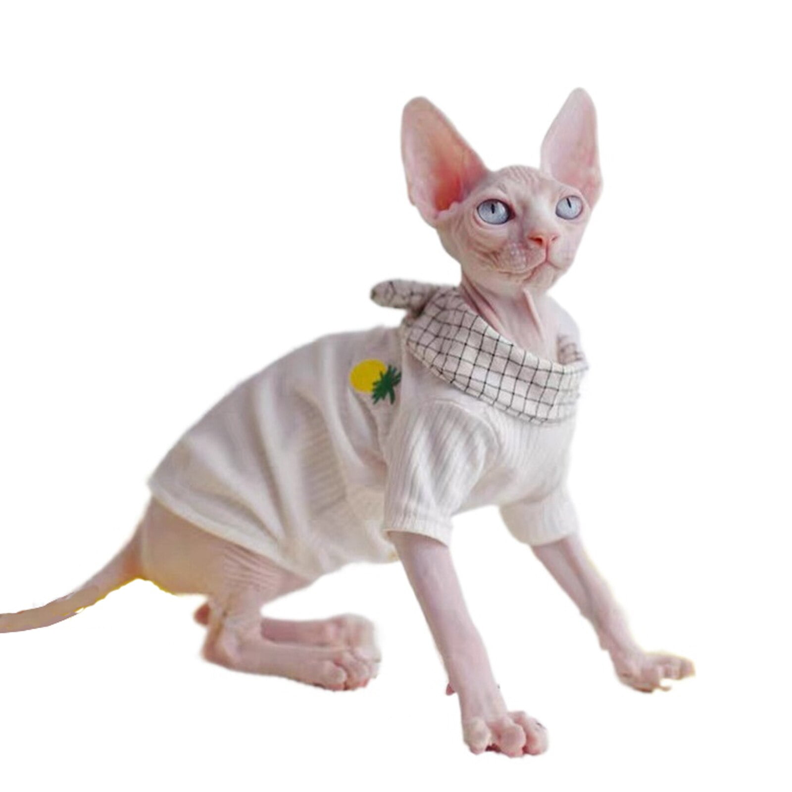 Click here for Duomasumi Pineapple Style Spring Summer Hairless C... prices