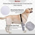 2Pc Dog Recovery Suit for Front Legs, Dog Leg Sleeves After Surgery ...