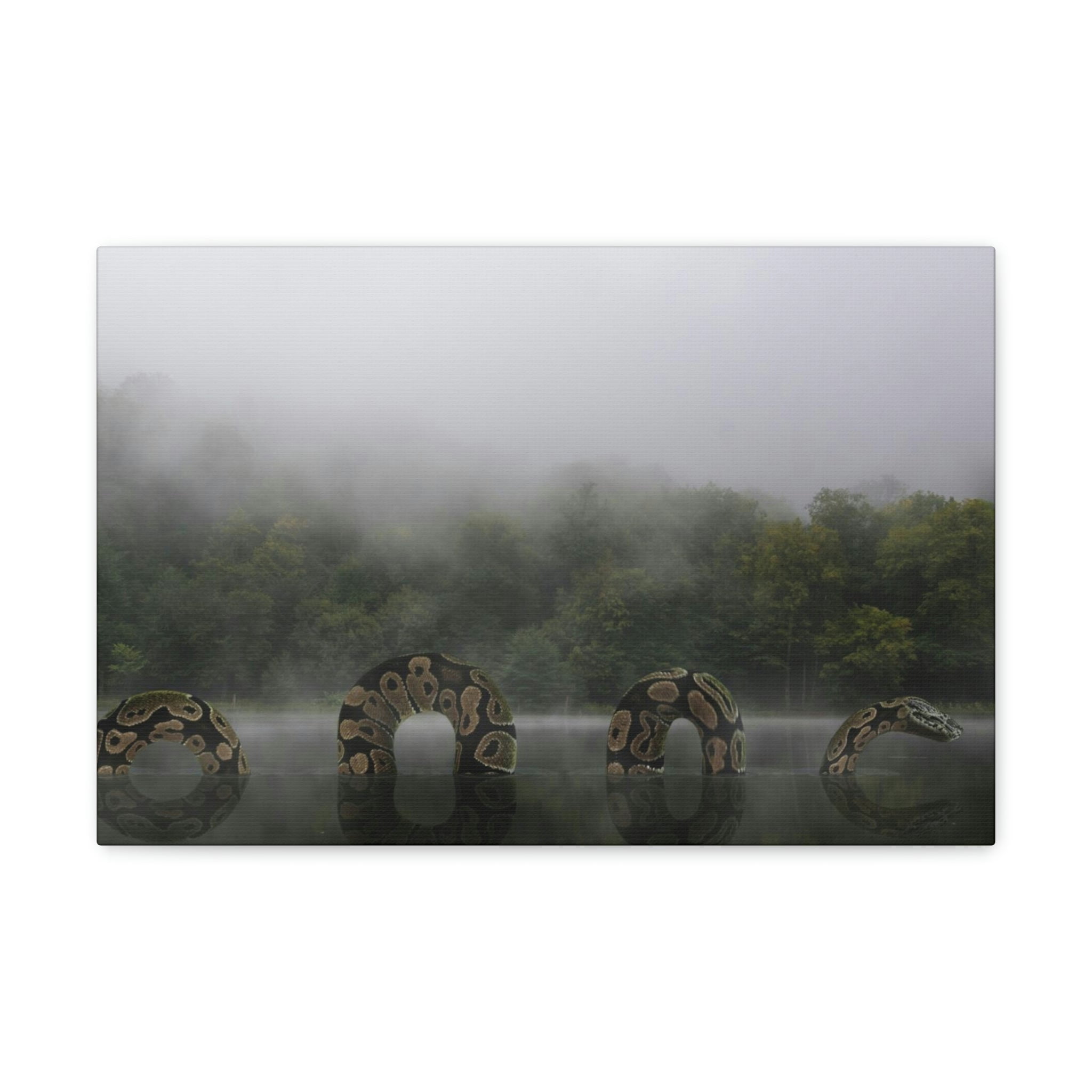 Giant Anaconda In Lake Anaconda Frightening Outside Wall Art Ready To ...