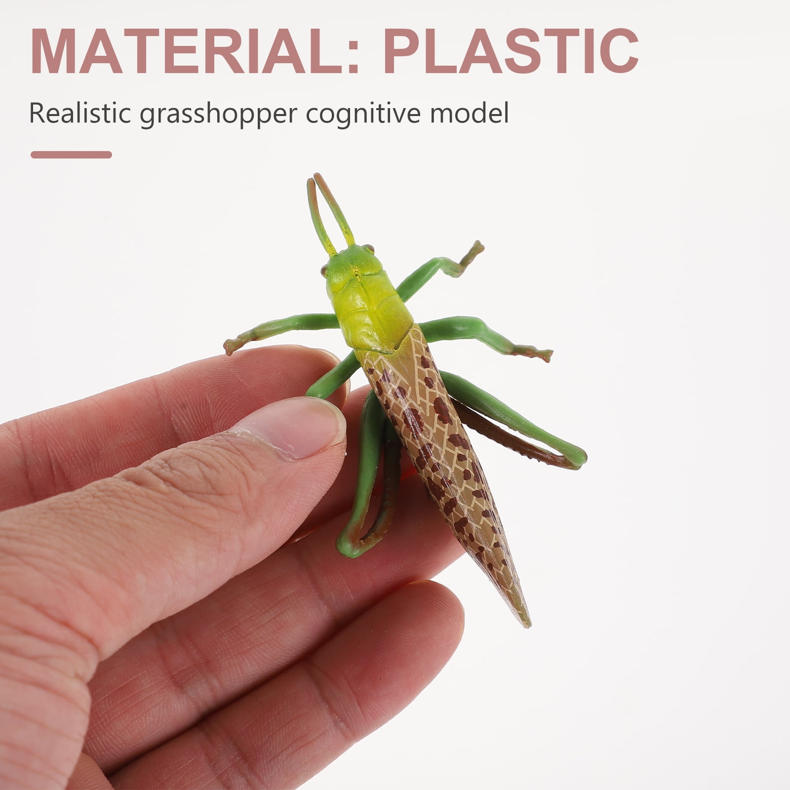 1 Set of Simulation Grasshopper Growth Cycle Model Grasshopper ...