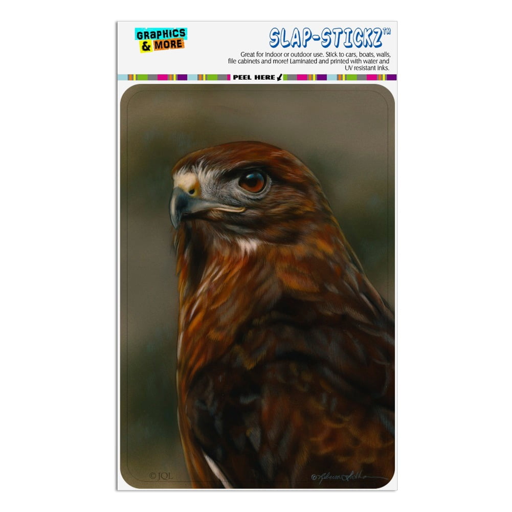 Red-Tailed Hawk Raptor Portrait Home Business Office Sign - Walmart.com