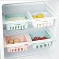 WORGEOUS Refrigerator Partition Layer Multifunctional Organizing Rack ...