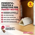 Pantry Pest & Moth Traps 6-Pk, Bug Killer for Kitchen Storage & Pantry ...