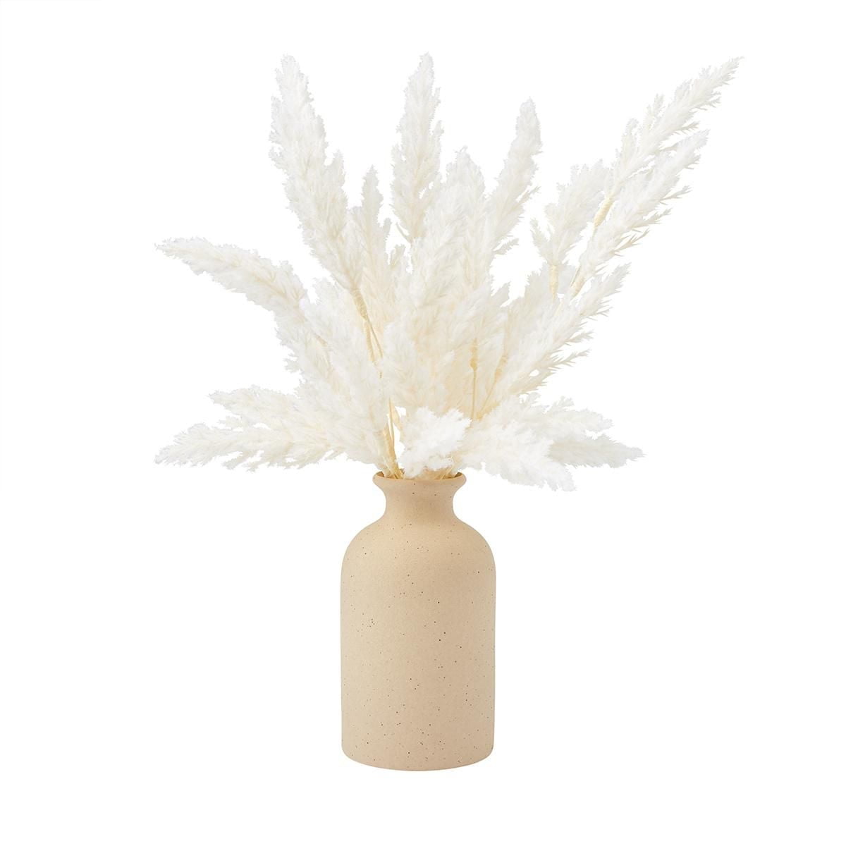 Click here for Anko Artificial Pampas In Vase M prices