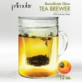 Primula 12 oz. Borosilicate Glass Personal Tea Brewer with Loose Tea ...
