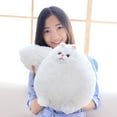 Winsterch Kids Cat Stuffed Animal Toys Gift , Fat White Plush Cat,10 ...