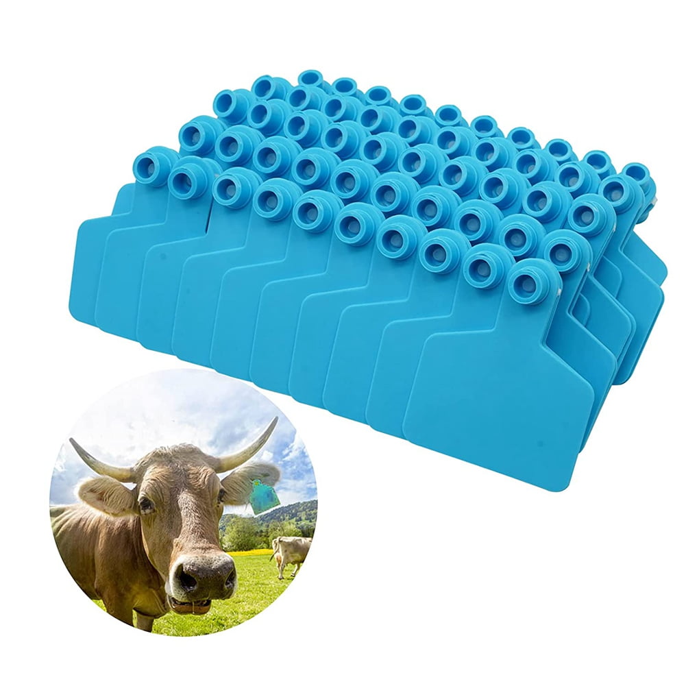 Buy Blank Livestock Ear Tags for Goats Sheep Pigs Cattle Livestock Blue ...