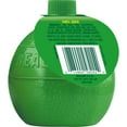 ReaLime 100% Lime Juice From Concentrate, 4.5 fl oz, Kosher - Walmart.com