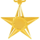 Bronze Star Medal Anodized BSM - Walmart.com