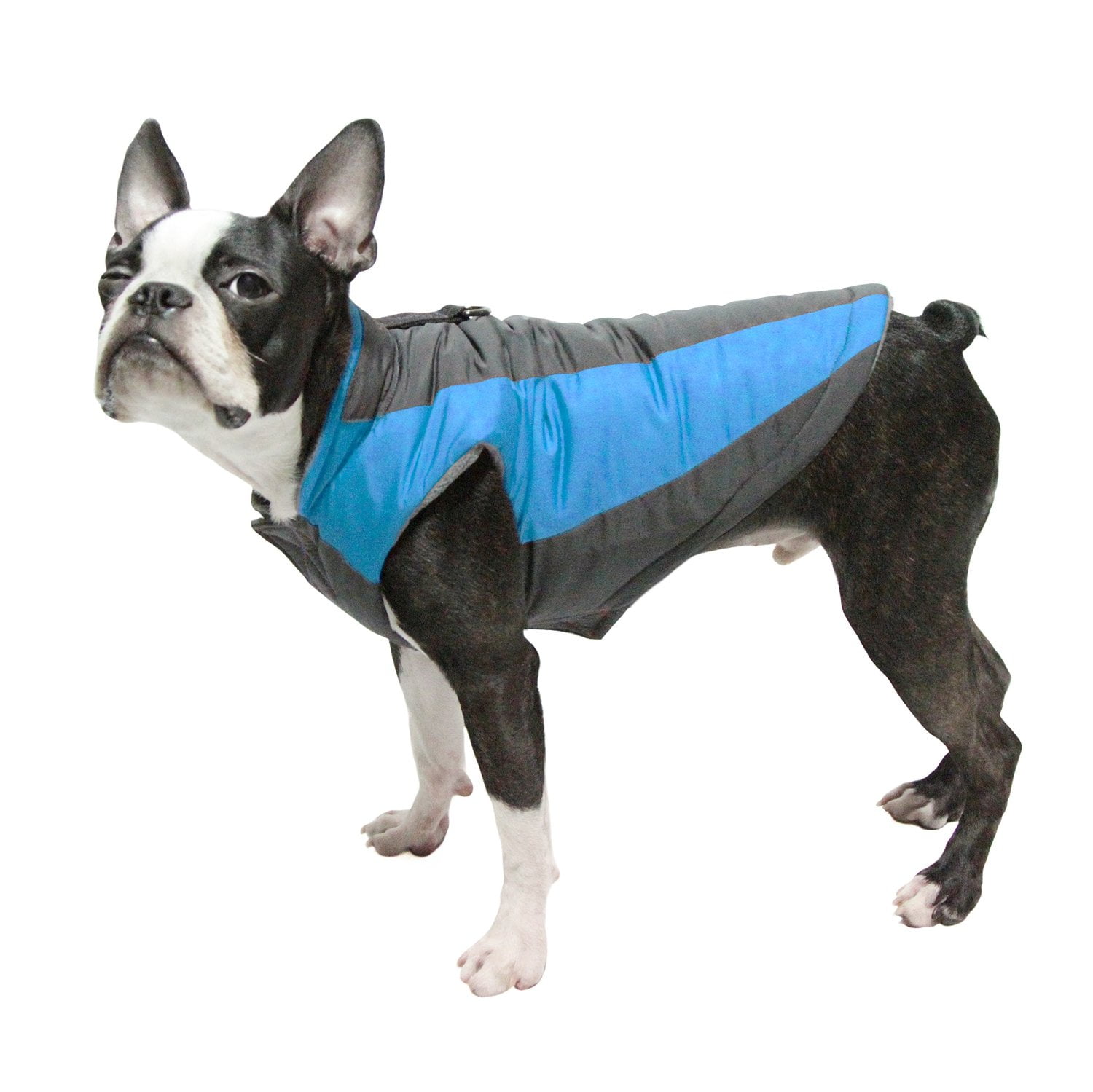 Gooby Active Trekking Dog Jacket, Medium, Ocean Blue - Walmart.com