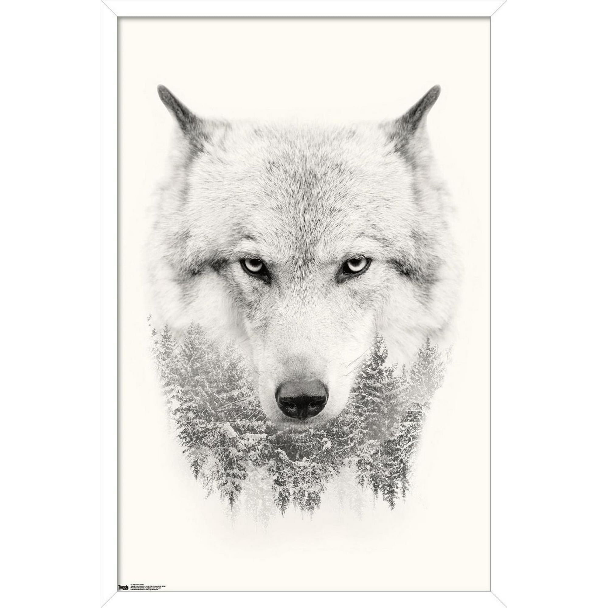 Click here for Trends International Wolf - Trees Wall Poster  22.... prices