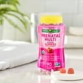 Spring Valley Prenatal Multivitamin Dietary Supplement Gummies ...