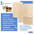 Baltic Birch Plywood, 10 x 10 x 1/4 Inch - 6 mm Craft Wood, Box of 50 B ...