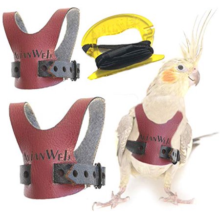 EZ Bird Harness & Leash Specifically Sized for Cockatiels (RED ...