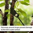 Professional Tree Stake Kits for 2 Trees- 6pcs 15.7 Inch Tree Straps ...