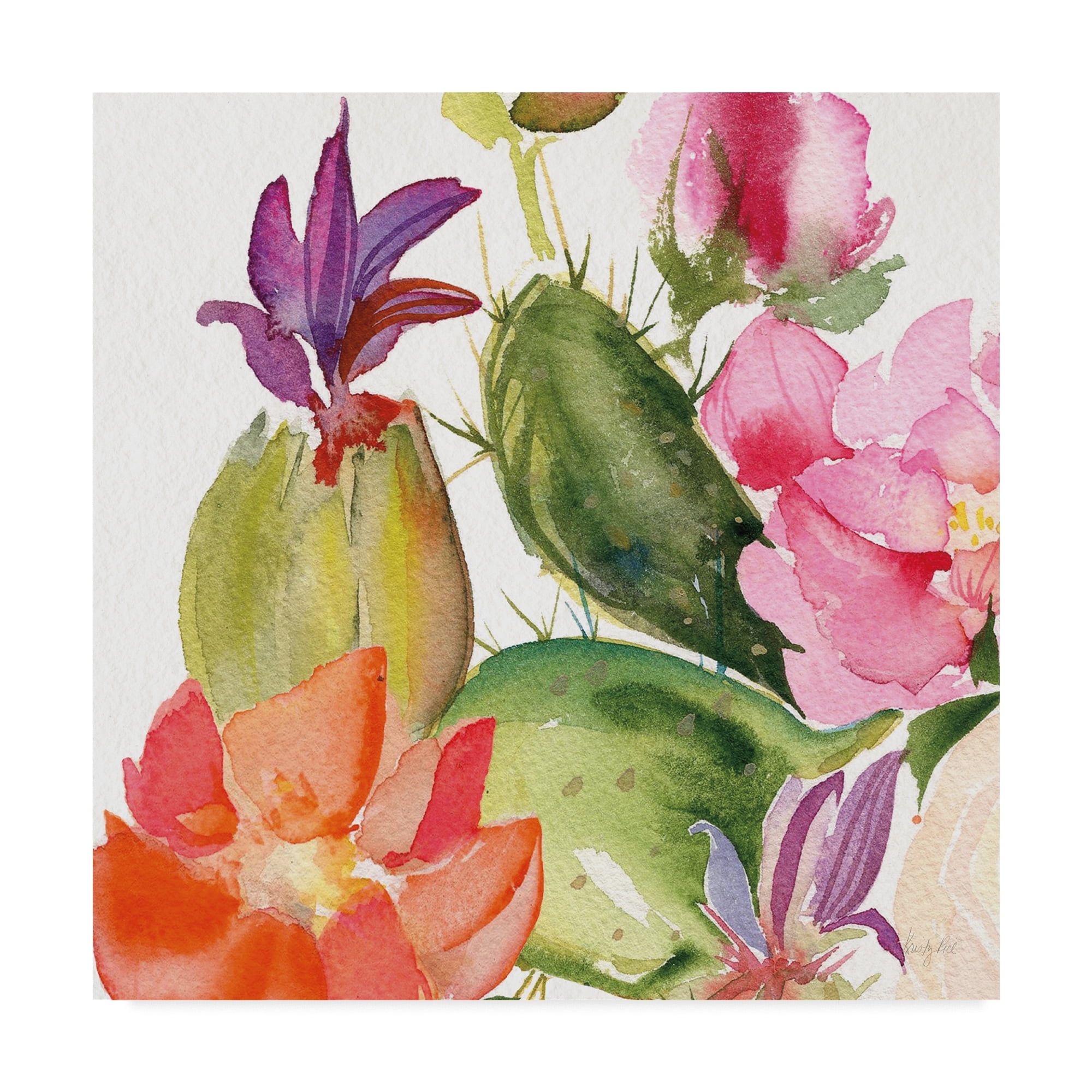 Trademark Fine Art 'Desert Rose II' Canvas Art by Kristy Rice - Walmart ...