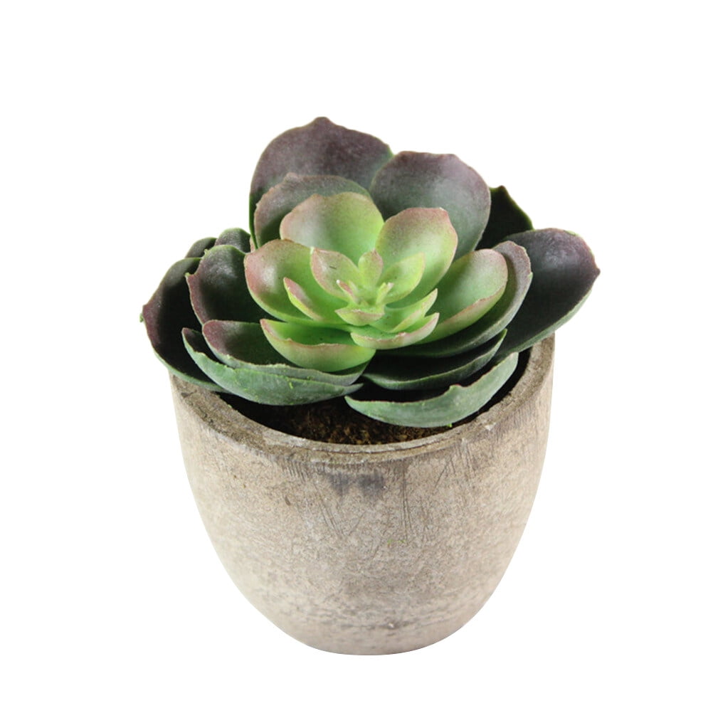 Decorative Faux Succulent Artificial Succulent Fake Simulation Plants ...