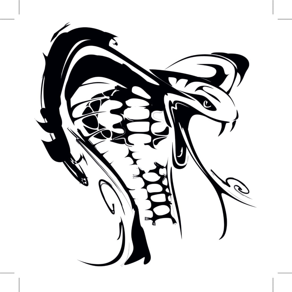 Design With Vinyl Artwork snake Crazy Mean Snake Out Of Control Wall ...