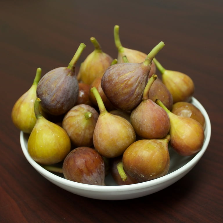Brown Turkey Figs