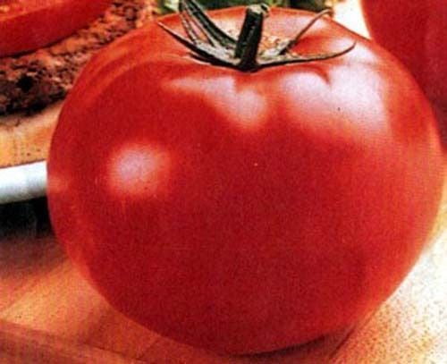 Tomato BIG Beef Plus - Hybrid Great Garden Vegetable 50 Seeds - Walmart.com