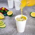 500 Pack 9 oz Disposable Plastic Cups, 9 Ounce White Party Drinking ...